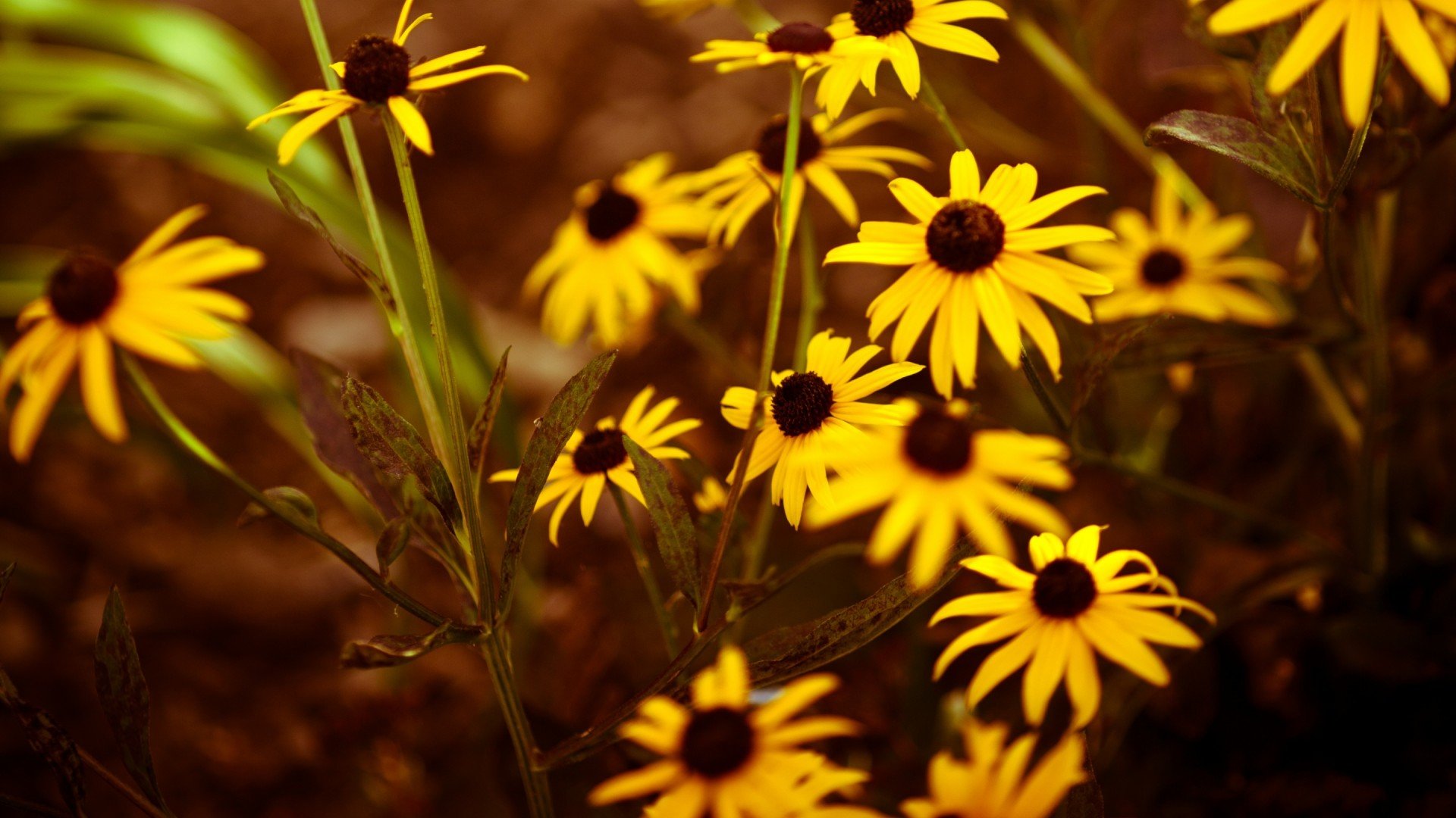 FreeRtOs(1)-基础知识 - Ysc Web